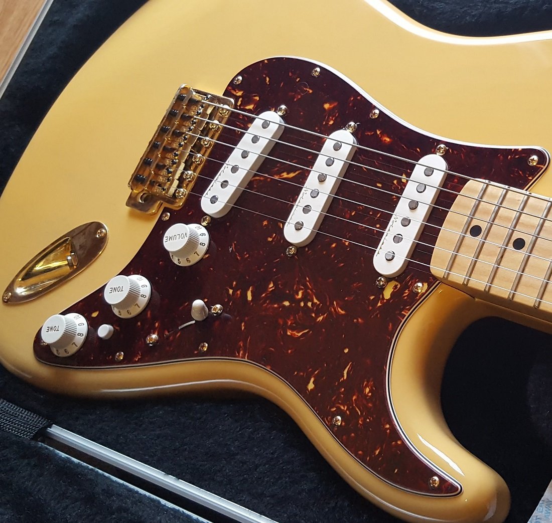 Pickguards Tortoise Shell: Los amo y odio - Guitarras - Musiquiatra