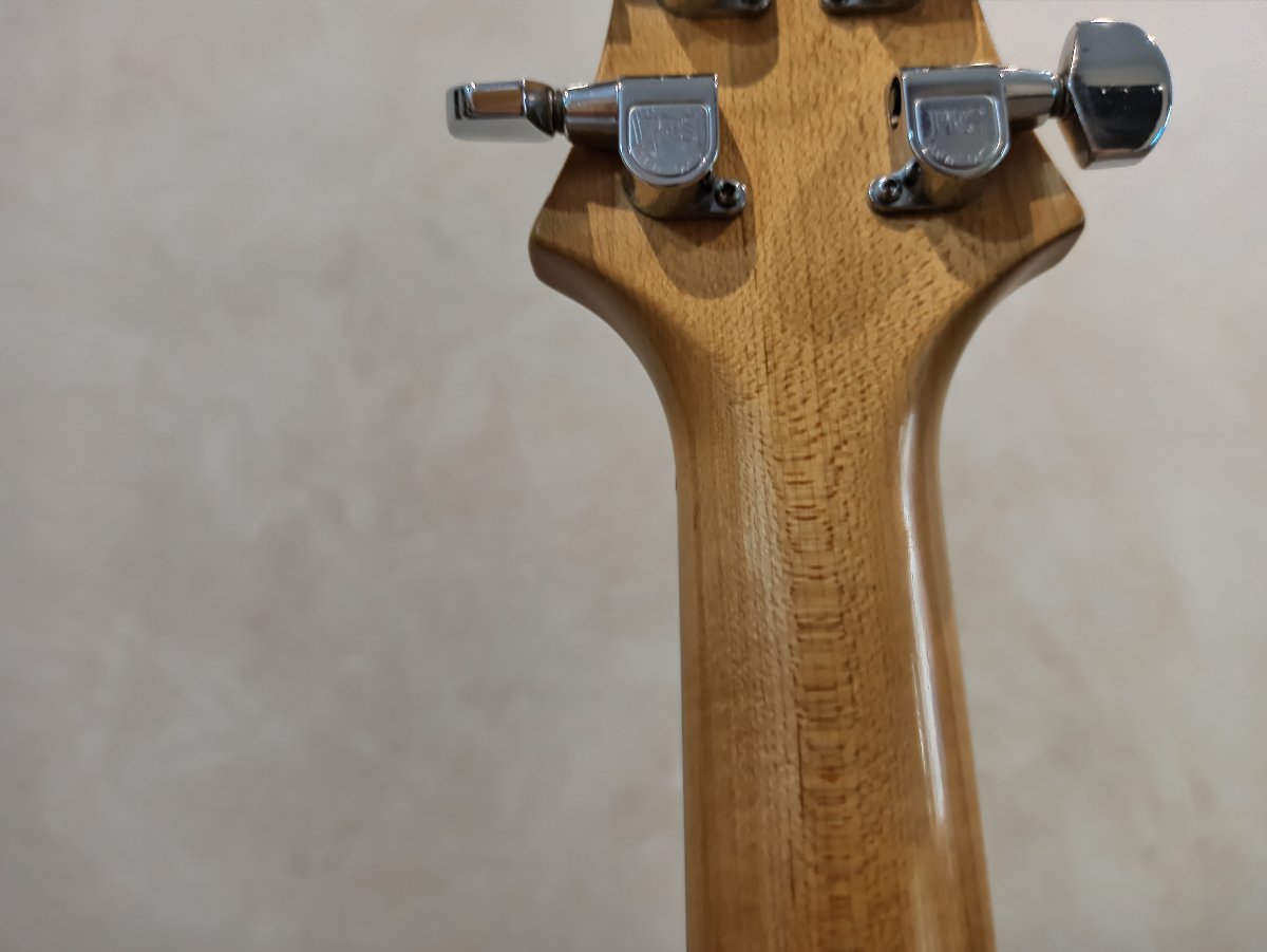 Alguien sabe de donde salio esta PRS de Cerati? - Guitarras - Musiquiatra