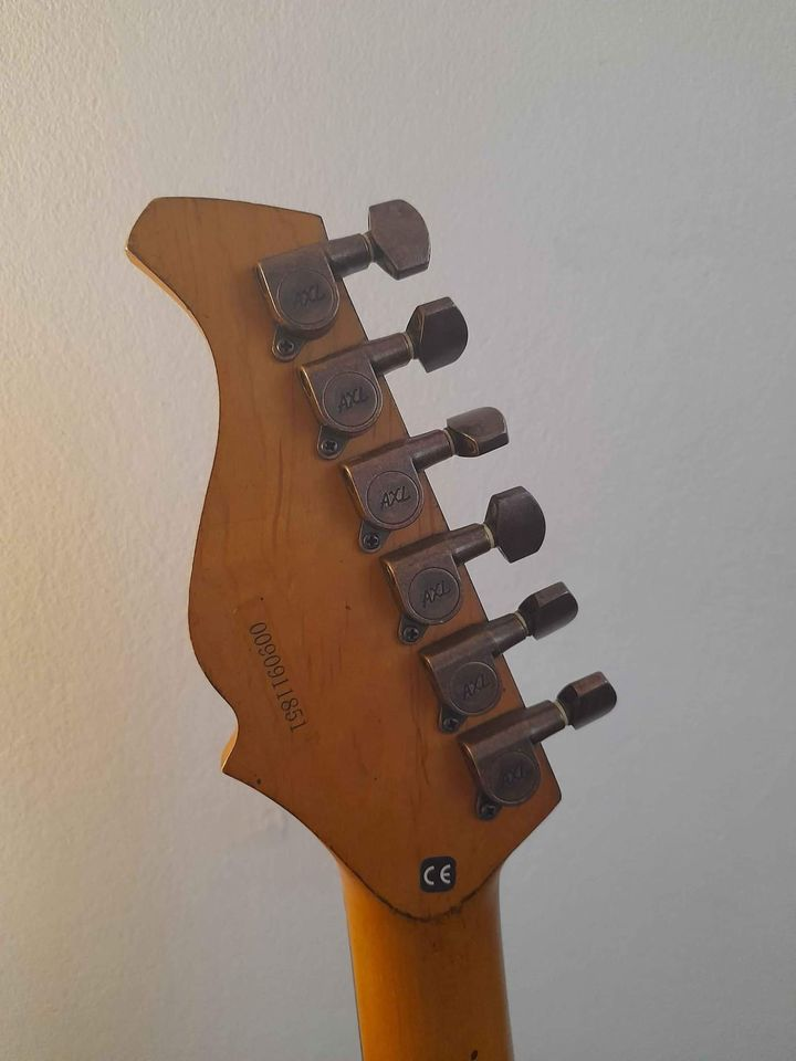 no se cual guitarra elegir, ayuda - Guitarras - Musiquiatra